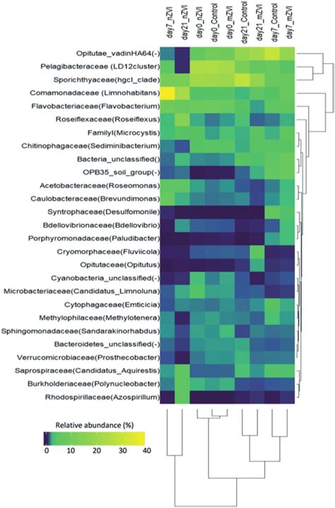 Heatmap Indicating The Relative Abundance Of The Major Bacterial