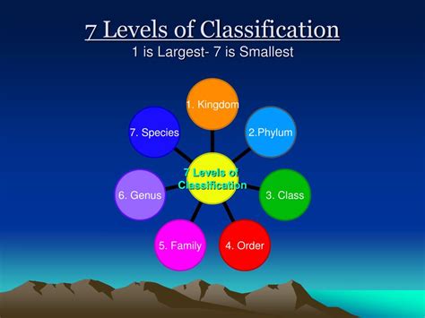 Levels Of Classification Smallest To Largest At Larry Webb Blog