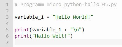 Programmieren Mit Micropython Teil
