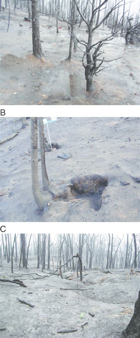 A Overland Flow Connectivity On Hillslope Burned By The 2010 Fourmile
