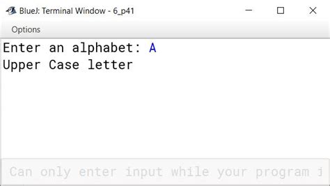 Chapter Revising Basic Java Concepts Sumita Arora Solutions ICSE Class Computer