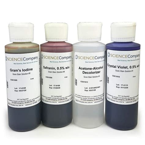 Gram Stain Kit Bbl S And Reagents Twp Stain
