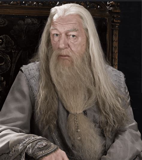 Rip Dumbledore R Harrypotter