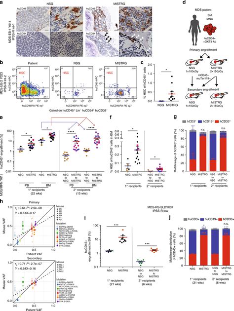 Mistrg Support Phenotypic And Functional Clonal Myelodysplastic