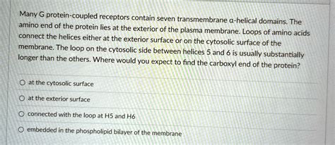 Many G Protein Coupled Receptors Contain Seven Transmembrane α Helical