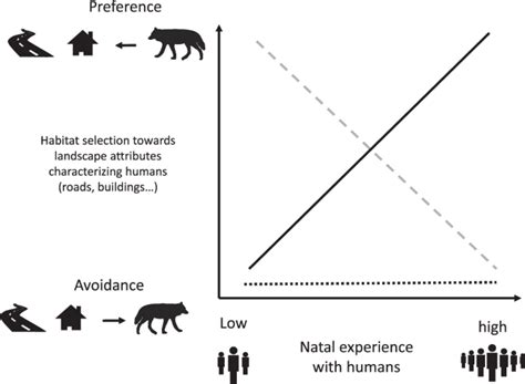 Testing The Influence Of Habitat Experienced During The Natal Phase On Habitat Selection Later