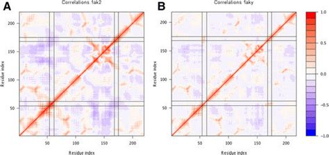 Inter Residue Correlations For Selected Representatives Of The Open And