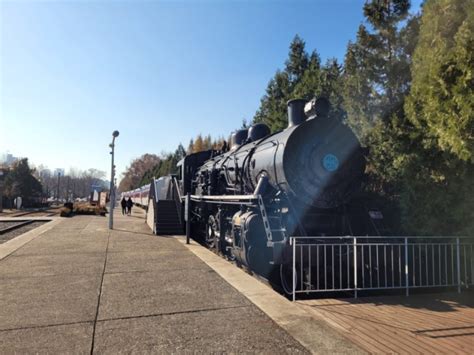 🇰🇷국내여행 서울 노원구 화랑대 철도공원노원 불빛 정원 방문 후기 네이버 블로그