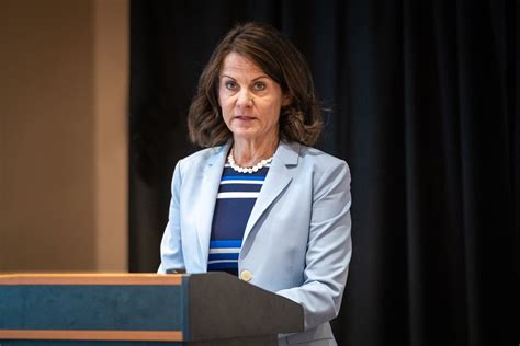 მე მაქვს პოზიტიური თანამშრომლობა პრემიერ მინისტრობის ახალ კანდიდატთან ამერიკის ელჩი Marshalpress