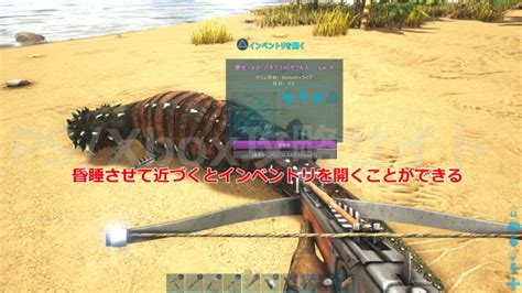 【ps4版 Ark Survival Evolved】テイムの基礎知識