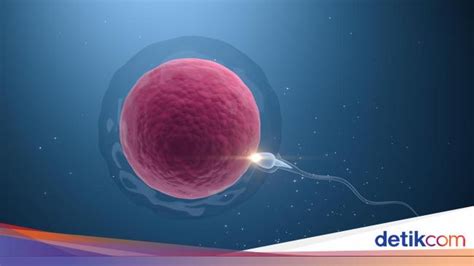 Bukan Cuma Sperma Taipan China Juga Lelang 6 Ribu Sel Telur Wanita Tak