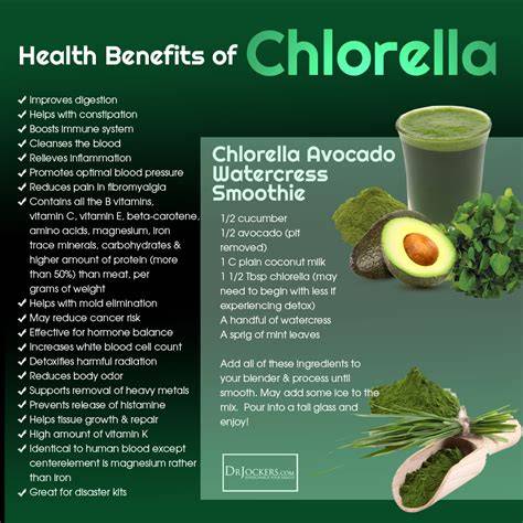 Chlorella Heavy Metal Detox Benefits At Yolanda Cheatham Blog
