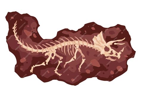 Premium Vector Dinosaur Skeleton Bone Fossil Excavation Of Archeology
