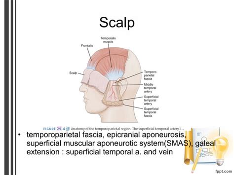 029 Incision And Closure Ppt