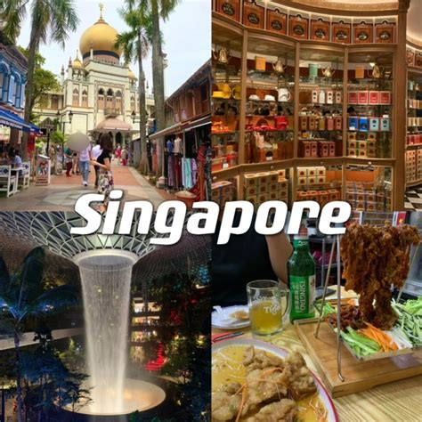 싱가포르🇸🇬 Day56 5박7일 여행코스 하지레인 블랑코코트프론미 아랍스트리트 술탄모스크 잠잠 무스타파센터 바샤커피 차이나타운 동북소주 보타닉가든