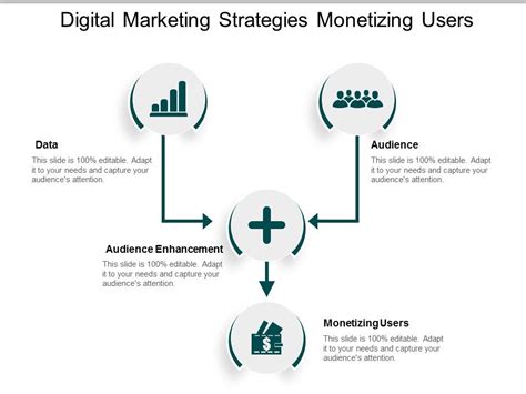 Digital Marketing Strategies Monetizing Users Ppt Powerpoint Presentation Infographics Gridlines