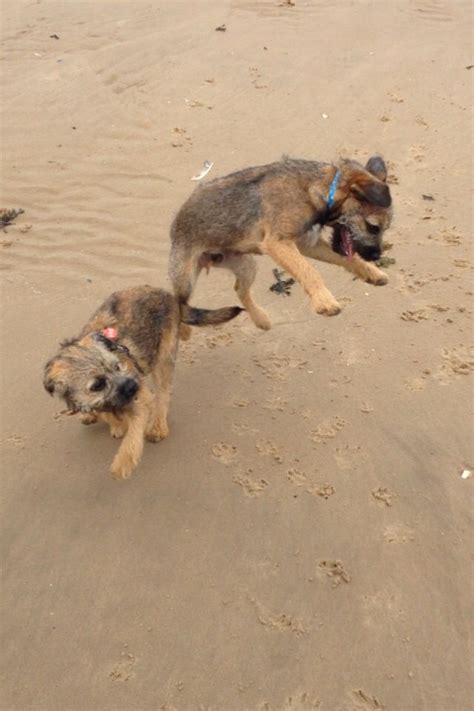 Jesse Bates Boston Sa