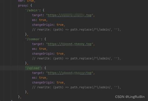 Vue Next Admin跨域配置