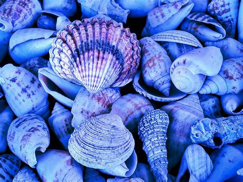 Évaluation de plateformes Model Hubs Hugging Face MLflow DataHub