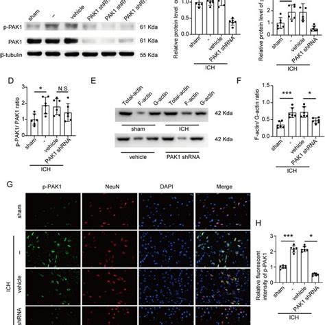 Ich Model And Experimental Design A Representative Representation Of Download Scientific