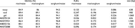 Interspecific Sequence Identities And Ka Ks Values For Seven Genes Download Table