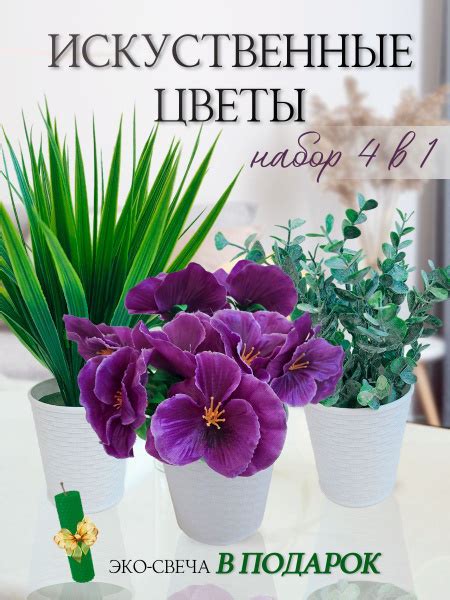 Купить Набор 4 в 1 Анютины глазки Эвкалипт и трава Осока в кашпо по выгодной цене в интернет