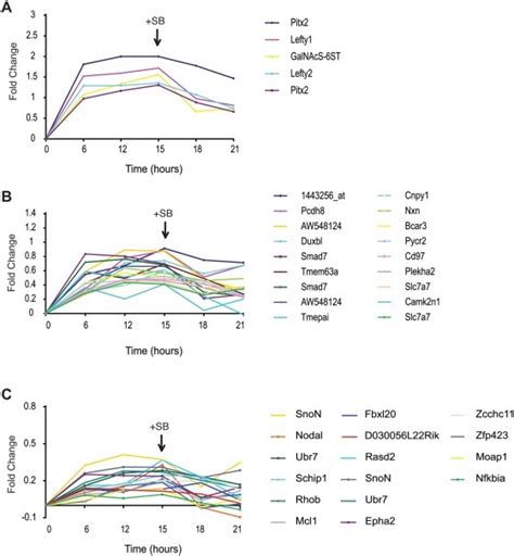 Microarray Expression Analysis Of Tag1 Es Cells Treated Sequentially Download Scientific