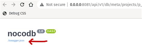🐛 Bug Cant Find Swaggerjson Anymore · Issue 5474 · Nocodbnocodb · Github