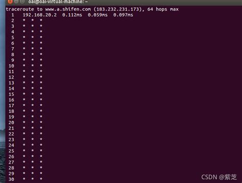 linux命令：traceroute命令（路由跟踪） traceroute t csdn博客