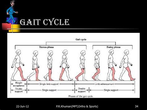 Gait Normal And Abnormal