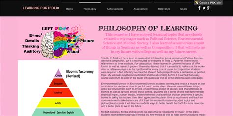 Examples Learning PortfolioA Babe S Path To Discovery Learning And Reflection