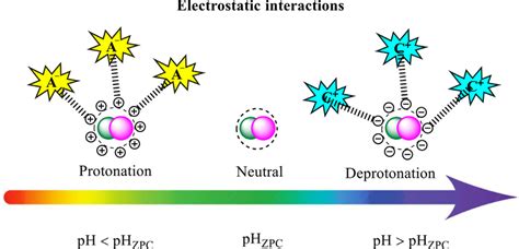 Diagram Representing Electrostatic Interactions Based On Zero Point Download Scientific Diagram