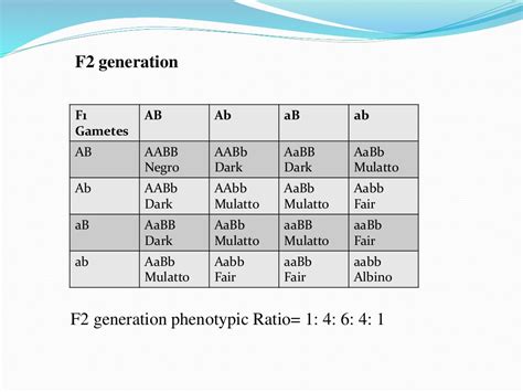 Polygene And Its Inheritance