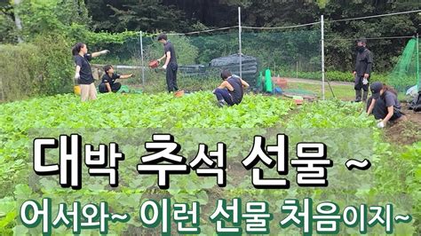 추석 대박 선물 이런 선물 너무 좋아요 어서 와 이런 선물 처음이지~ Youtube