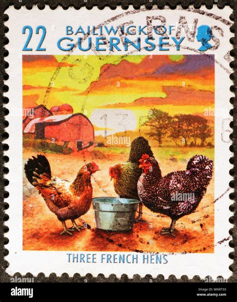 Three French Hens Costume