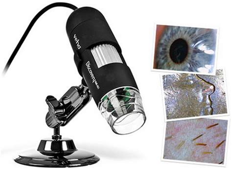 Interesting USB Gadgets Design Swan