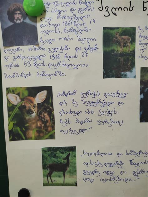 პრეზენტაცია ქართულ ენასა და ლიტერატურაში შვლის ნუკრის ნაამბობი