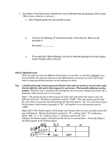 solved genetics worksheet part 1 introduction 1 describe