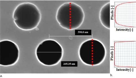 A Sem Picture Of A Phc With Infiltrated Holes Top Vs