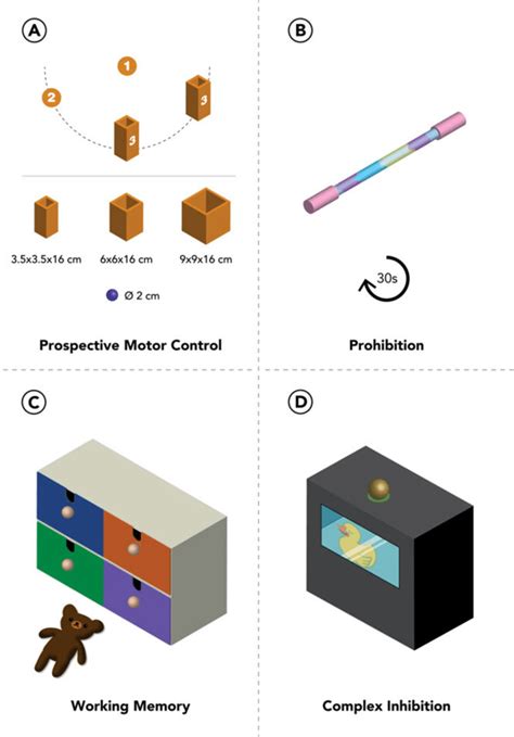 Material Of All Tasks A The Prospective Motor Control Task Consisted