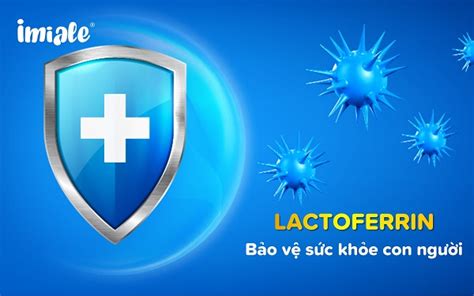 Lactoferrin Là Gì Tổng Quan 10 điều Cần Biết Viết Bởi Minhphuong9201