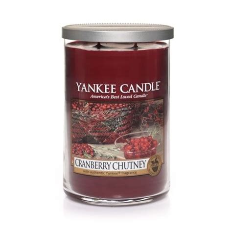 Cranberry Chutney Large 2 Wick Tumbler Candles Yankee Candle