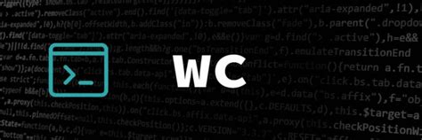 What You Should Know About The Wc Command