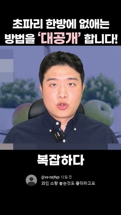 초파리 한방에 없애는 방법을 소개해드립니다 Youtube