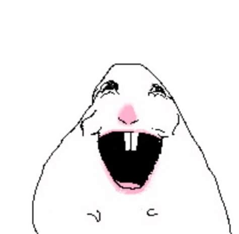 Pin By Sarah ´꒳` On Hamster Memes Hamster Hamster Pics