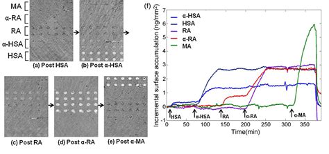 Figure 1 From Led Based Interferometric Reflectance Imaging Sensor For Quantitative Dynamic
