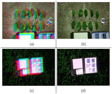 Comparison Before And After Registration A Before Leaf Scale