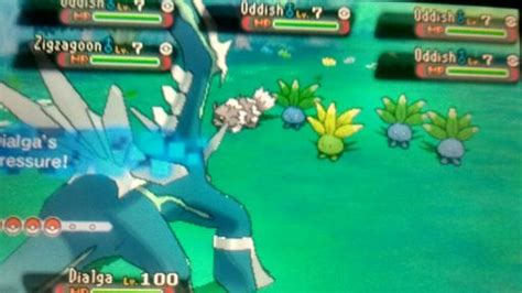 New Shiny Pokémon Amino