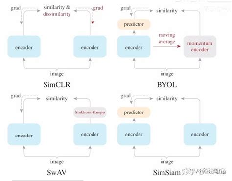 对比学习contrastive learning综述 知乎