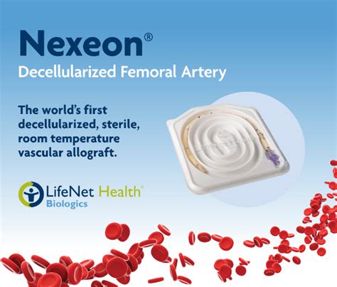 Nexeon® Decellularized Femoral Artery